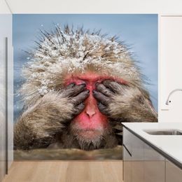 Bilderwelten Fototapete Textiltapete Stofftapete - nahtlose Tapete | Japanischer Schneeaffe