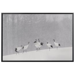 Leinwandbild Kraniche im Schnee