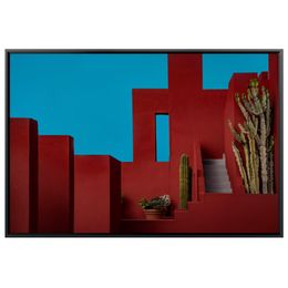 Leinwandbild Rote Architektur mit Kakteen
