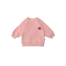 Sweatshirt Liliput "K&uuml;rbis cutest pumpkin", Jungen, Gr. 62/68, rosa (pink, meliert), 80% Baumwolle, 20% Polyester, bedruckt, normal, Rundhals, Sweatshirts Sweatshirt, mit elastischen B&uuml;ndchen