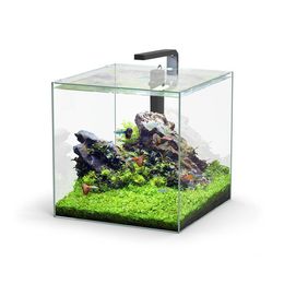 Aquatlantis Aquarium Set Kubus LED S&uuml;sswasseraquarium mit Filtersystem 54l