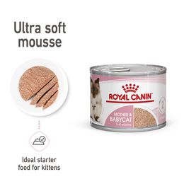 Royal Canin Mother & Babycat Mousse Katzen-Nassfutter f&uuml;r tragende Katzen und Kitten 12x195g