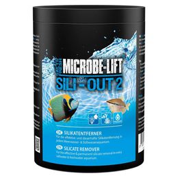 ARKA Sili-Out 2 Silikatentferner 700 g
