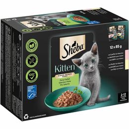 Sheba Multipack Kitten in Sauce Feine Vielfalt Katzen-Nassfutter getreidefrei 12x85g