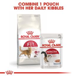 Royal Canin FIT Trockenfutter 10kg + INSTINCTIVE Nassfutter 48x85g