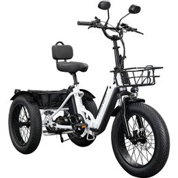 Remington R100 E Bike Elektro Dreirad 20 Zoll Elektrodreirad mit 2 Akkus bis 120 km Pedelec City mit tiefem Einstieg klappbar