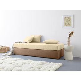 Polsterliege Maintal "Diana", braun (cappuccino), B:83cm L:203cm, Komplettbetten