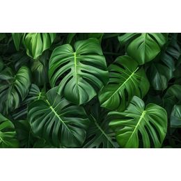 Acrylglasbild queence "Monstera Bl&auml;tter Wald Illusion", farbe bild(er): gr&uuml;n,dunkelgr&uuml;n, B:120cm H:80cm, Acrylglas, Bilder, Acrylglasbild, mit schwebender 3D Tiefenwirkung, dank der rahmenlosen Befestigung