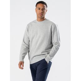 Rundhalspullover TEESHOPPEN "TEESHOPPEN Pullover Sweatshirt Crewneck", Herren, Gr. L, grau, Obermaterial: 70% Baumwolle, 30% Polyester, Pullover Rundhalspullover