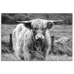 Wandbild Artland "Happy Highland", farbe bild(er): schwarz, B:120cm H:80cm, Bilder, als Alubild, Leinwandbild, Poster, Wandaufkleber in verschied. Gr&ouml;&szlig;en