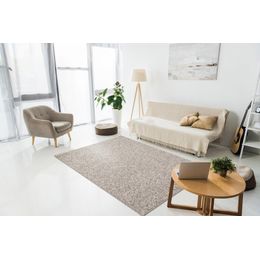 Teppich "Teppich LINO, Made in Belgium", grau (taupe), B:200cm H:10mm L:290cm, Polypropylen, PRIMAFLOR-IDEEN IN TEXTIL, Teppiche, Teppich, Wolloptik, grobe Schlinge, meliert, strapazierf&auml;hig