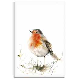 Wandbild Artland "Aquarell Rotkehlchen", bunt (farbe bild(er): rot), B:80cm H:120cm, Bilder, als Alubild, Leinwandbild, Poster, Wandaufkleber in verschied. Gr&ouml;&szlig;en