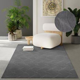 Teppich the carpet "Rio", grau (anthrazit), B:80cm H:8mm L:150cm, Polyester, Teppiche, Teppich, weicher Wohnzimmer Teppich rutschfest 3D-Optik