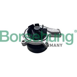 BORSEHUNG Wasserpumpe b11219 f&uuml;r BMW