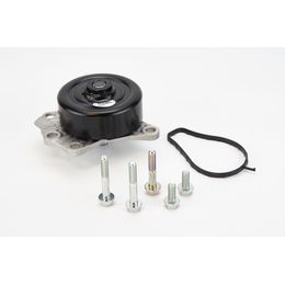 CONTINENTAL CTAM Wasserpumpe wps3007 f&uuml;r TOYOTA DAIHATSU Peugeot