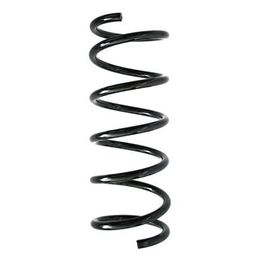 SPIDAN Fahrwerksfeder 85894 Hinterachse f&uuml;r Ford