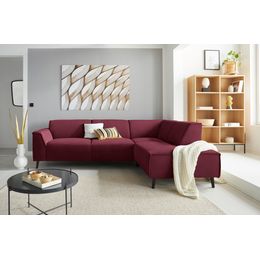 Ecksofa DOMO collection "Amora, bequem und zeitlos, L-Form", rot (bordeaux), B:263cm H:81cm T:191cm, Sofas, Ecksofa, mit Federkern, Fu&szlig;h&ouml;he passend f&uuml;r g&auml;ngige Saugroboter