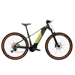 E-Bike KROSS "Influx Hybrid 4.0 21,3Ah / 800 Wh 29 Zoll gr&uuml;n 12 G&auml;nge 2026" Gr. 41, gr&uuml;n, schwarz, Elektrofahrr&auml;der, Herren, 41cm, 29 Zoll (73,66cm), BOSCH PERFORMANCE LINE CX 36 V/250 W, Mittelmotor