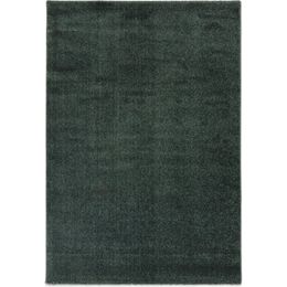 Sch&ouml;ner Wohnen Kollektion Teppich "Pure 250", gr&uuml;n (dunkelgr&uuml;n), B:160cm H:2,1mm L:230cm, Polypropylen, SCH&Ouml;NER WOHNEN-KOLLEKTION, Teppiche, Teppich, Indoor, Oeko-Tex