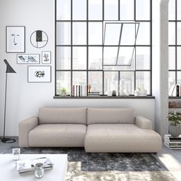 Ecksofa Musterring "LUCIA zeitlos, bequem, sch&ouml;ne Detailverarbeitung Breite 296cm, L-Form", beige (bisquit puro), B:296cm H:81cm T:190cm, Flachgewebe VALMONT (60% Baumwolle/40% Leinen);Leder PURO, pigmentiertes Leder;Microfaser CRONA (100% Polyester);Flachgewebe FLORIS (100% Polyester);Leder BAX, pigmentiertes Leder, Sofas, Ecksofa