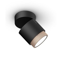 Occhio lu&igrave; volto VOLT Z Schwarz matt/Gold 2700K CRI 97H: 14,3cm, (Kopf) &Oslash;: 9,4cm