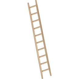 Layher Bau-Holzanlegeleiter 1036 - 21 Sprossen