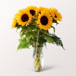 7 Sonnenblumen im Bund