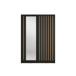 SCHWEBET&Uuml;RENSCHRANK VEYDAR 155/215/62cm 2-t&uuml;rig mit Spiegel Grau