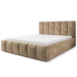 POLSTERBETT ATTORA LM 200x200 cm mit Bettk&auml;sten - Beige