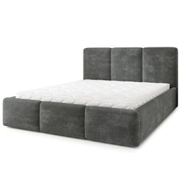 POLSTERBETT MORENA LM 160x200 cm mit Bettk&auml;sten - Grau