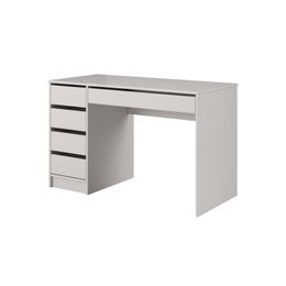SCHREIBTISCH ESTE 120x55x75 cm B&uuml;rotisch Computertisch, Kaschmir