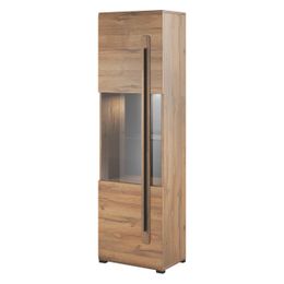 VITRINE in Eichefarben