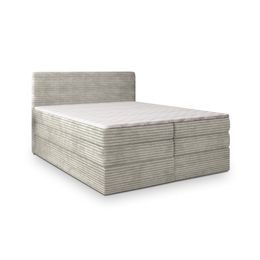 BOXSPRINGBETT LUNERA 160x200 cm mit Matratze und Topper - Hellgrau