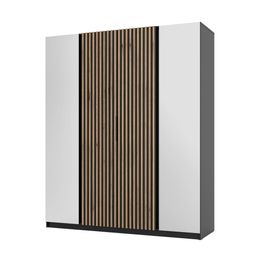 DREHT&Uuml;RENSCHRANK CAGLIARI 200/239/61,9cm 4-t&uuml;rig mit Spiegel Schwarz