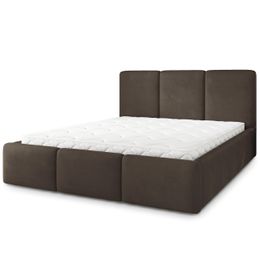 POLSTERBETT MORENA MGV 120x200 cm mit Bettk&auml;sten - Braun