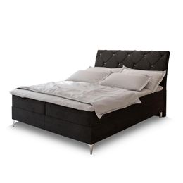 BOXBETT MACON 160x200 cm mit Matratze und Topper - Schwarz