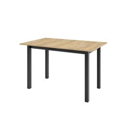 ESSTISCH ENZO P Ausziehbar 125 - 165 / 80 x 77 cm