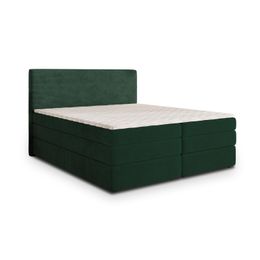 BOXSPRINGBETT MATERN 160x200 cm mit Matratze und Topper - Gr&uuml;n