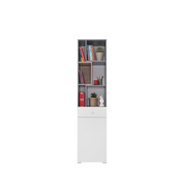 B&Uuml;CHERREGAL GALIA 45x40x190 cm, Regal Taupe