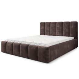 POLSTERBETT ATTORA LM 120x200 cm mit Bettk&auml;sten - Braun