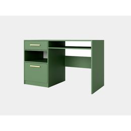SCHREIBTISCH ELISE 125x58x82 cm B&uuml;rotisch Computertisch, Hellgr&uuml;n