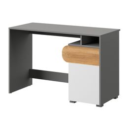SCHREIBTISCH ARCADA 120x53x78 cm B&uuml;rotisch Computertisch, Eichefarben