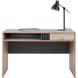 SCHREIBTISCH PUNTO 120x55x76 cm B&uuml;rotisch Computertisch, Eichefarben