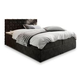 BOXBETT RIVA 180x200 cm mit Matratze und Topper, H2+H3 - Schwarz