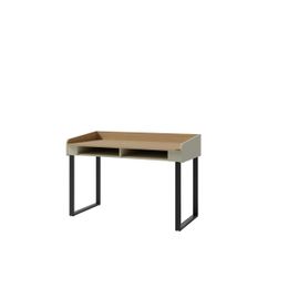 SCHREIBTISCH VETTA 125x64,5x83 cm B&uuml;rotisch Computertisch, Hellgr&uuml;n
