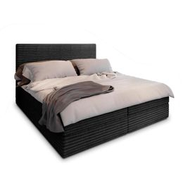 BOXBETT PISA 140x200 cm mit Matratze und Topper - Schwarz