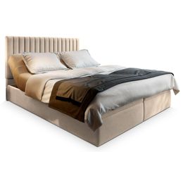BOXBETT MURLO 140x200 cm mit Matratze und Topper - Beige