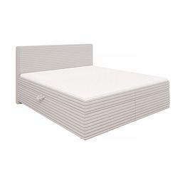 BOXBETT Roma 180/200 cm Hellgrau Pl&uuml;schcord