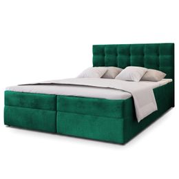 BOXBETT GLOS K 180x200 cm mit Matratze und Topper, H2+H3 - Gr&uuml;n