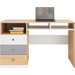 SCHREIBTISCH BRERA 125x55x76 cm B&uuml;rotisch Computertisch, Eichefarben